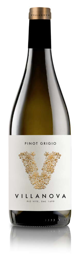 Pinot Grigio Friuli Collio DOC - Beverage & Food Group